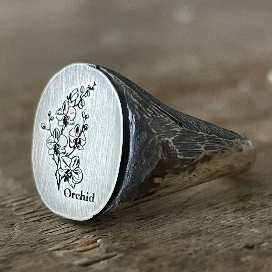 New Collection – TÓ GARAL